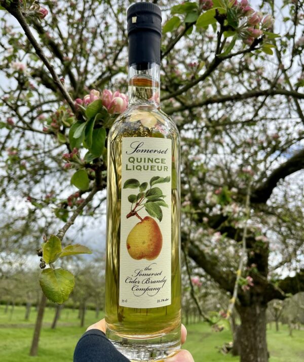Quince Liqueur - Forman & Field